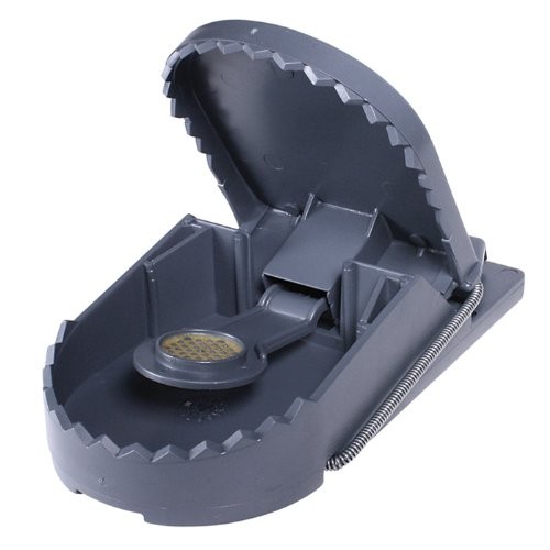 RATOEIRA PARA RATOS 2 UNIDADES - RATOEIRAS E ARMADILHAS - UTILIDADES ...